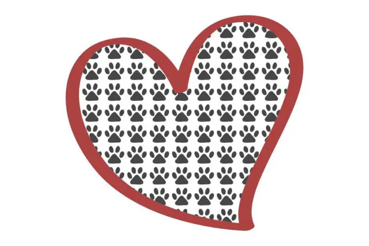 10 Free Dog SVG Files – Frugal Fitz Designs
