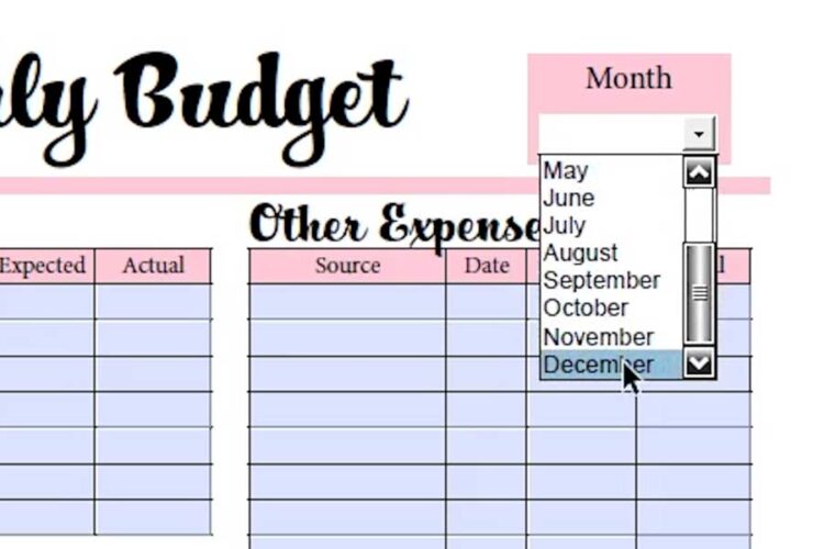 Free Monthly Budget PDF With Calculated Fields – Frugal Fitz Designs
